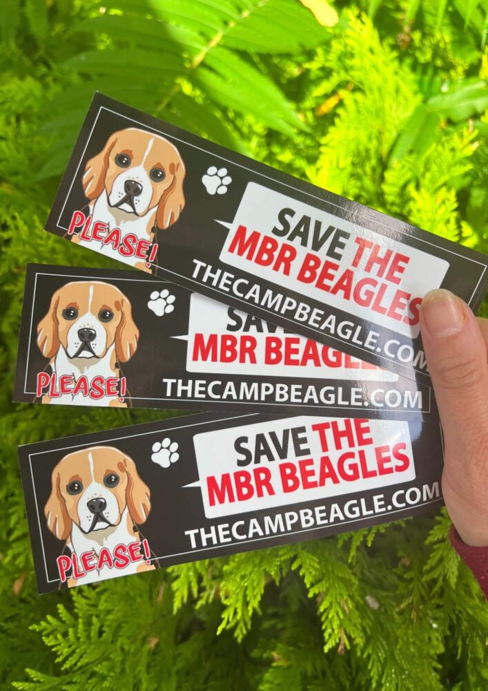 Window Sticker- Save The MBR Beagles 15 x 5 cm | Viva La Vegan